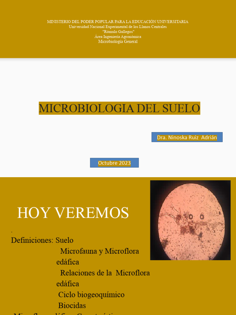 Microbiologia Del Suelo | Descargar gratis PDF | Las bacterias | Microorganismo