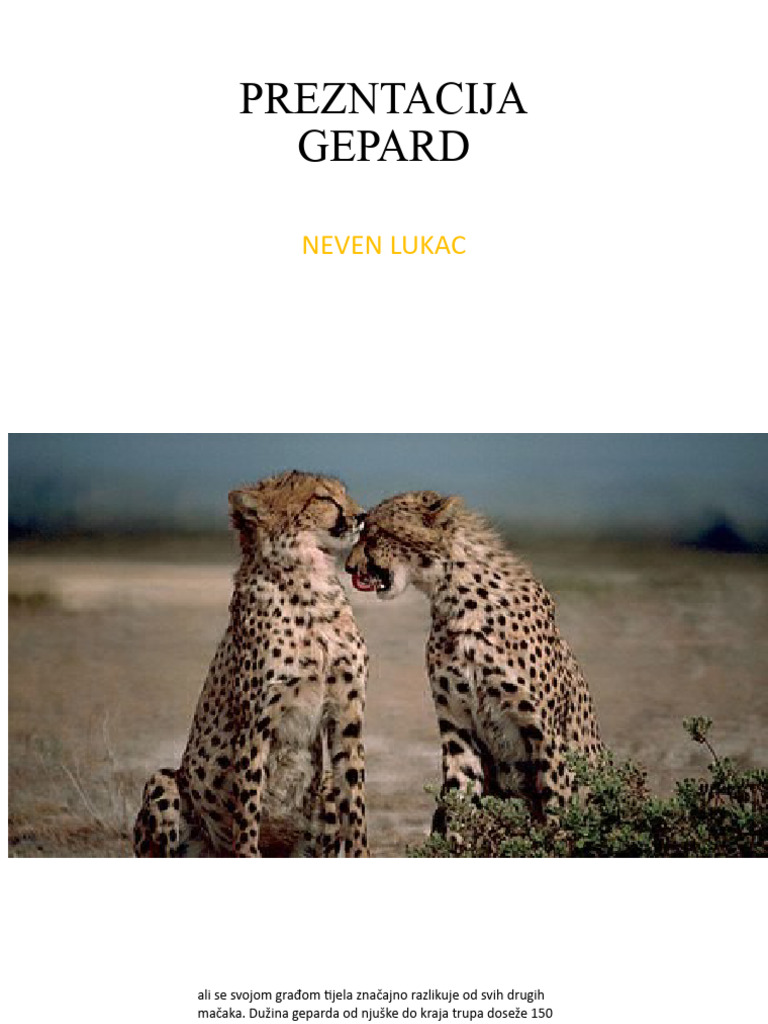 Prezentacija Gepard | PDF