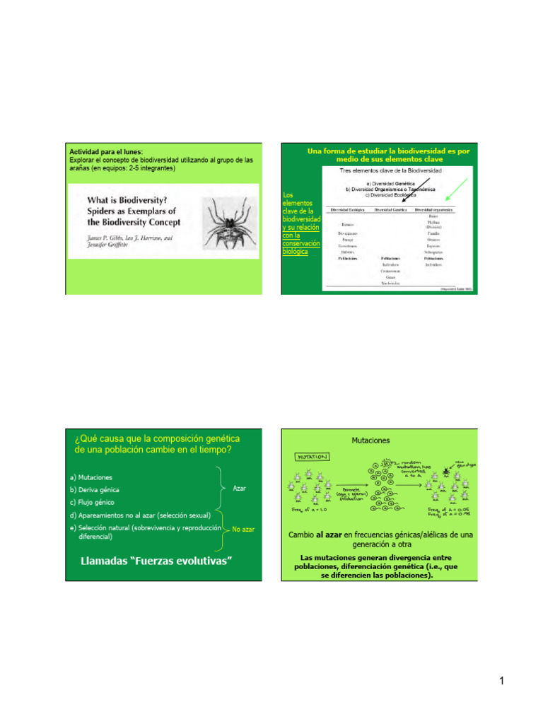 Ilovepdf Merged (1) Merged | PDF | Seleccion natural | Evolución