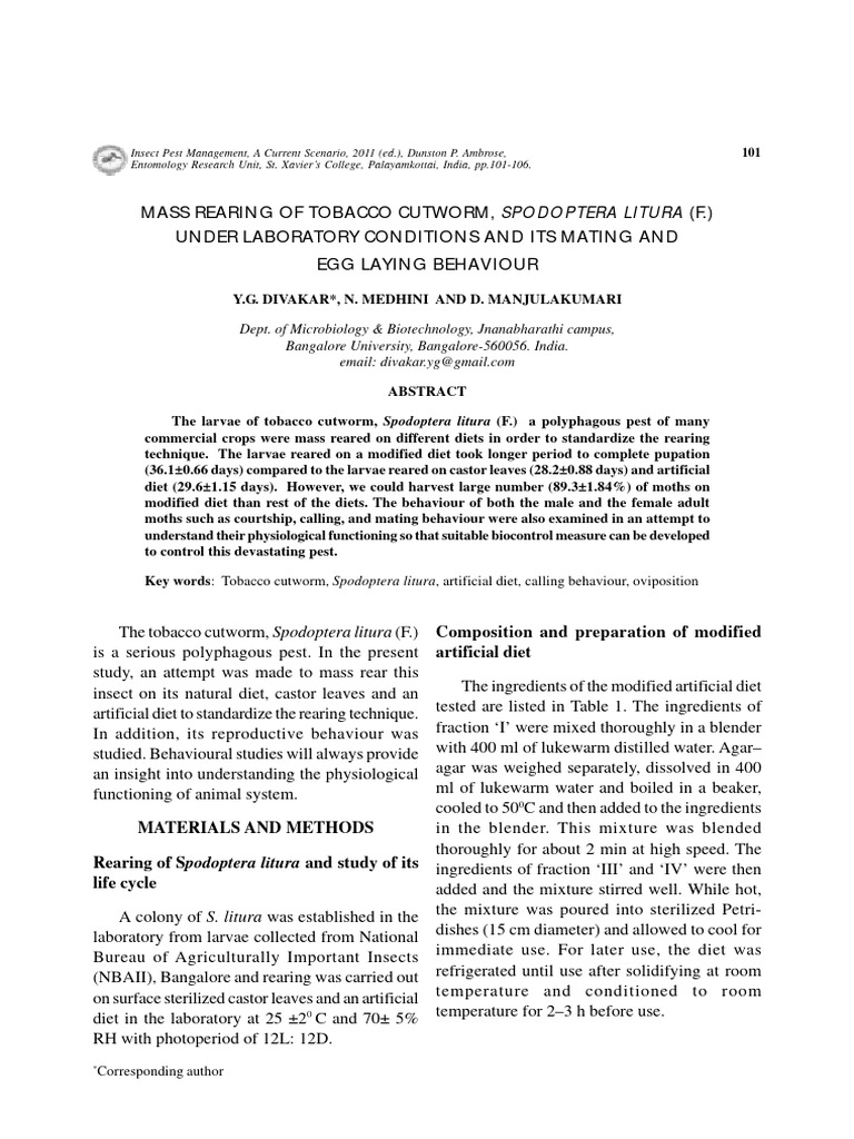 Ygdr Eru | PDF | Pupa | Insects And Humans