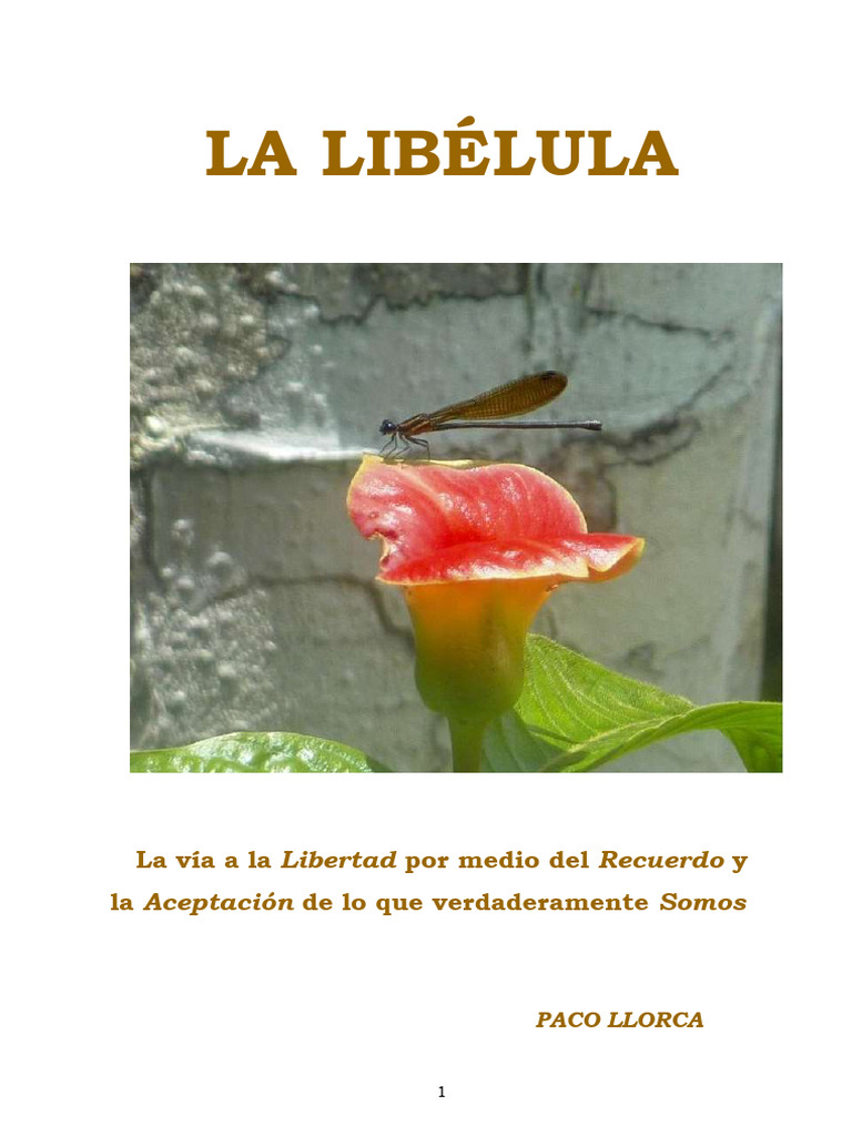 La Libã - Lula 24.1. 2022 | PDF | Religión y espiritualidad