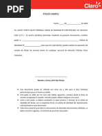 Poder Simple Claro | PDF | Gobierno y personalidad | Business