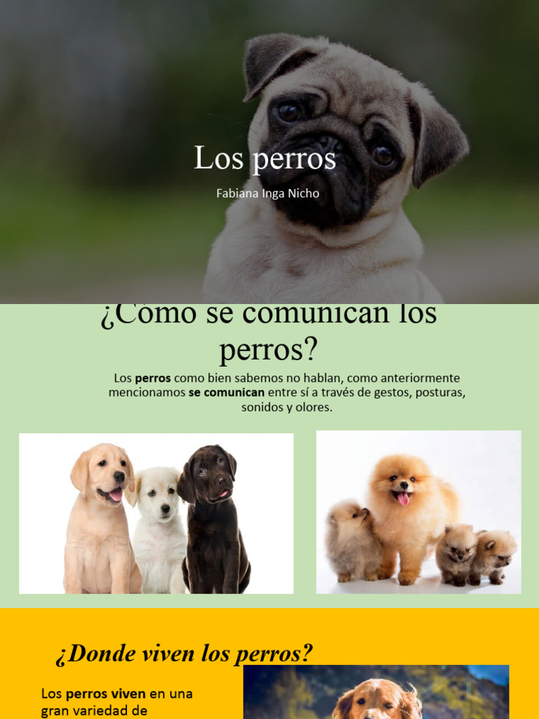 Como Se Comunican Los Perros | PDF