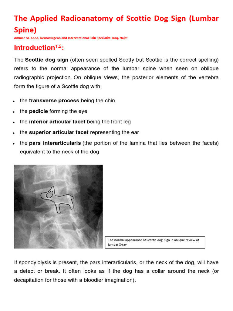 Scottie Dog Sign | Download Free PDF | Vertebra | Skeletal System