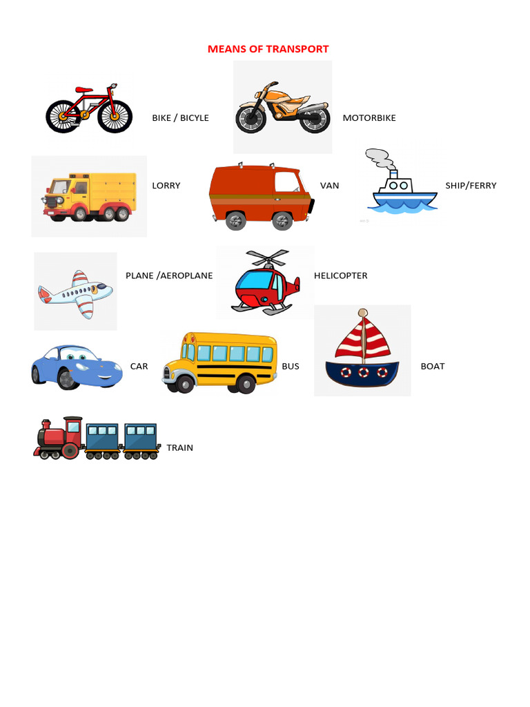 Means of Transport | PDF | Business | Home & Garden