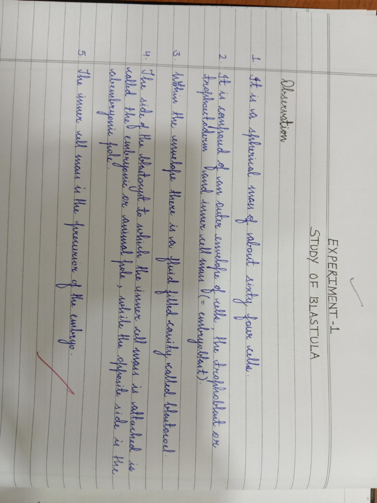 Practical 1,2,3 | PDF