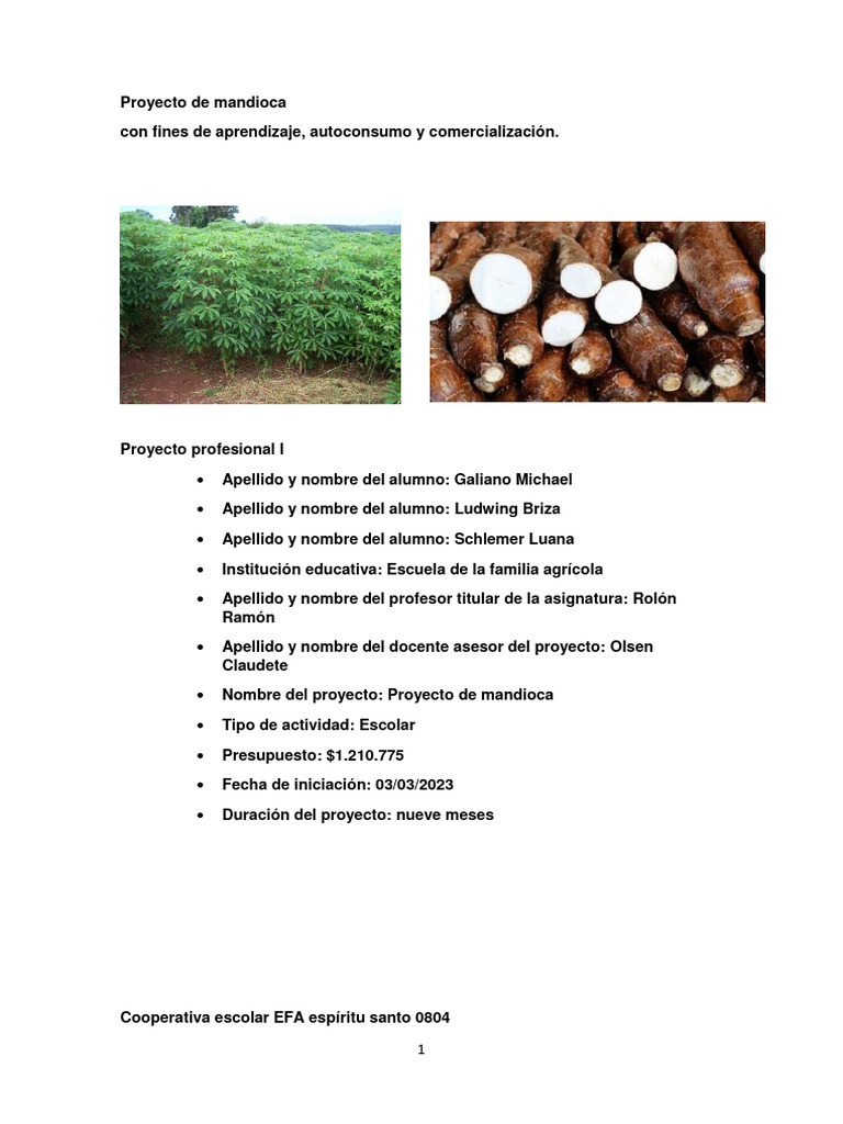 Proyecto de Mandioca PDF | PDF | Agricultura | Aprendizaje