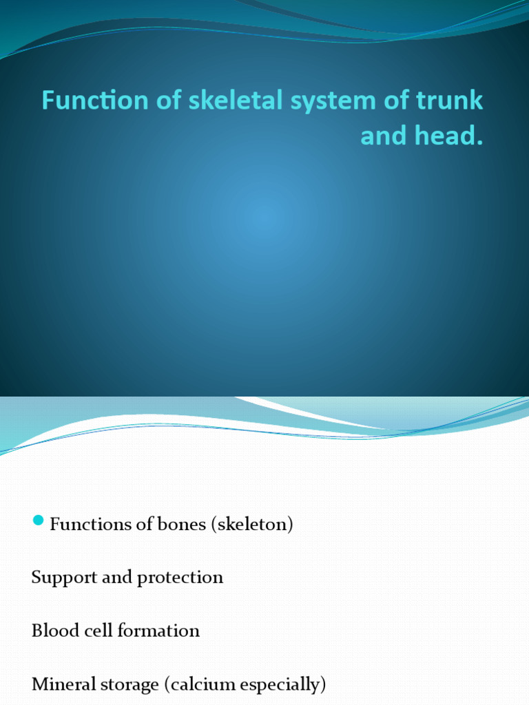 1 Function of Skeletal System of Trunk and Head | PDF