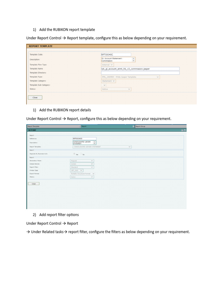 Configure New Report in RUBIKON | PDF