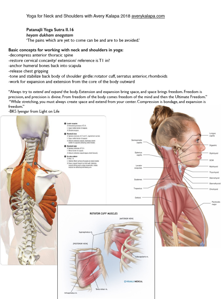 Shoulder Neck Ws Handout 2018 | PDF