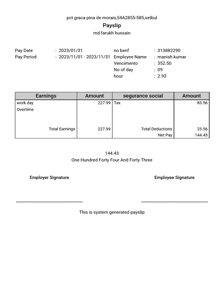 Payslip | PDF