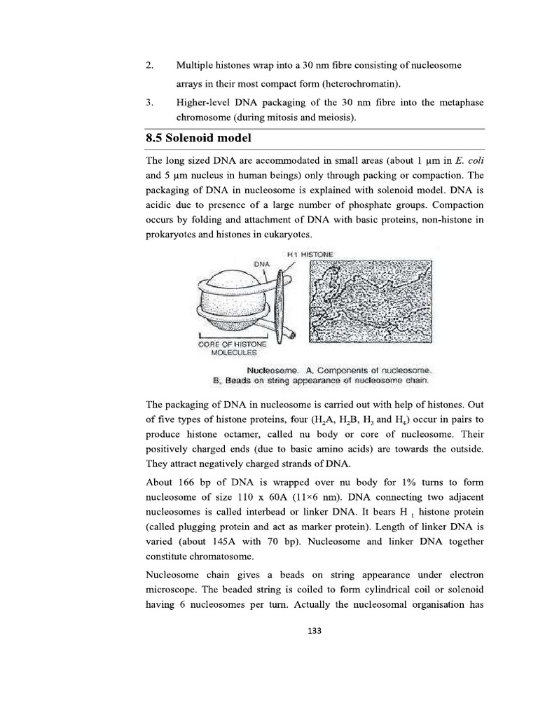 SOLENOID MODEL | PDF