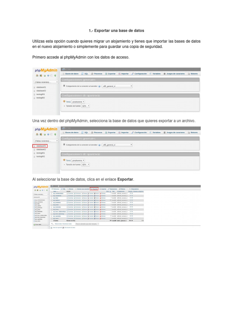 Guía para Exportar e Importar Bases de Datos | PDF