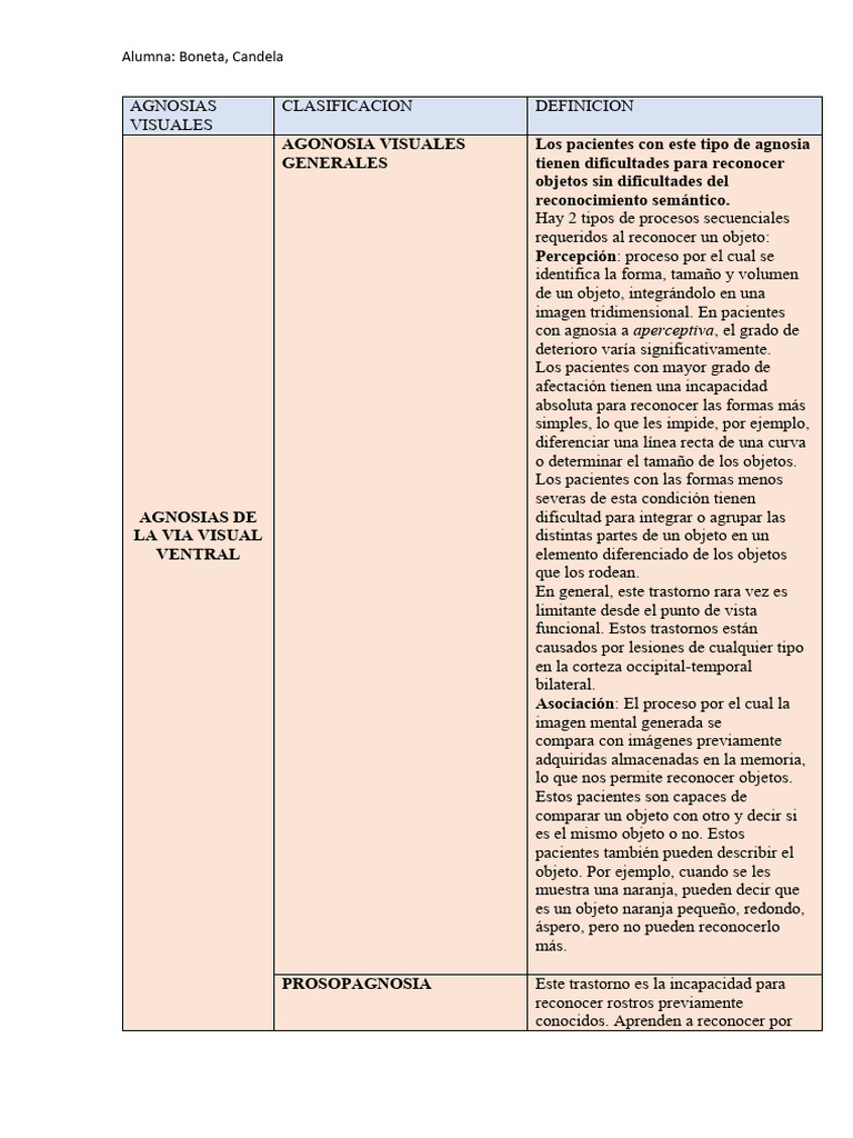 AGNOSIAS VISUALES | PDF | Neurociencia | Cerebro