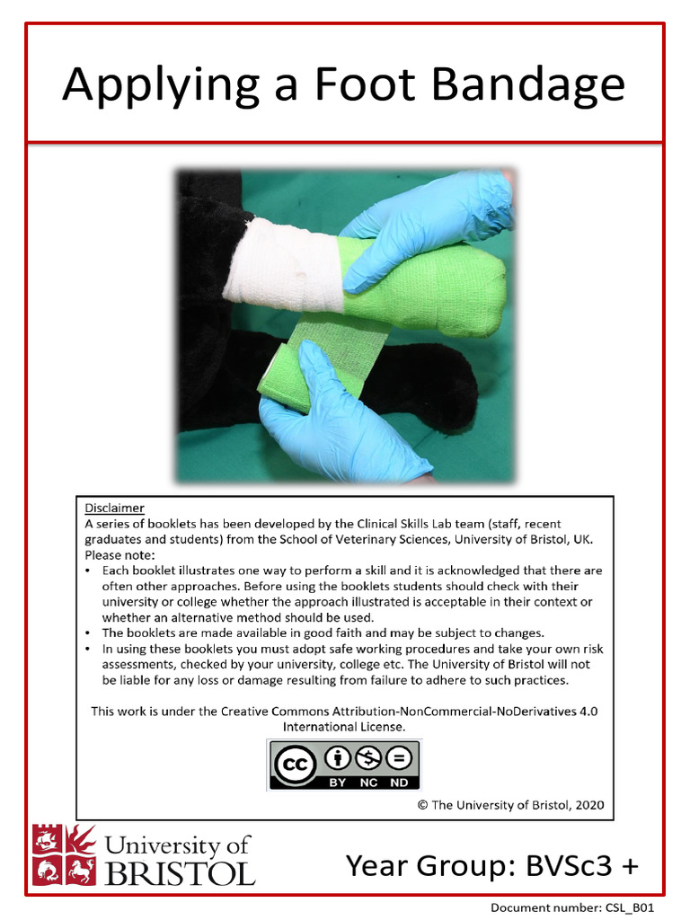How to Apply a Dog Foot Bandage | PDF | Anatomical Terms Of Location | Foot