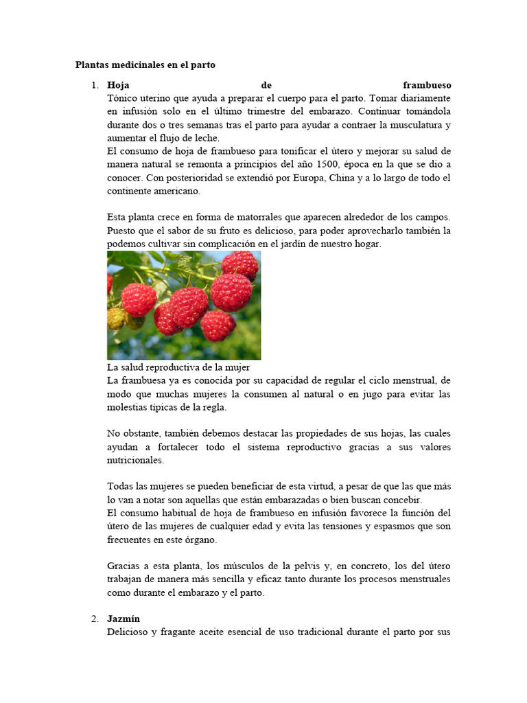 Plantas Medicinales En El Parto Pdf Té Polifenol