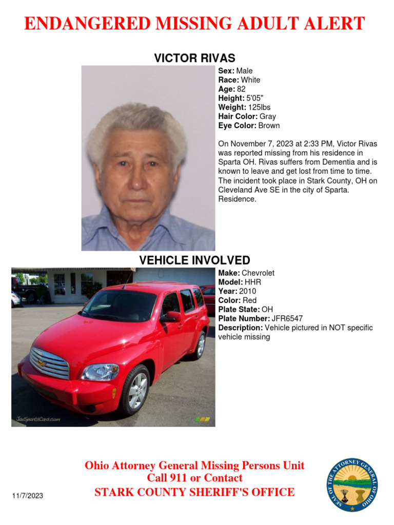 Missing Person Alert | PDF