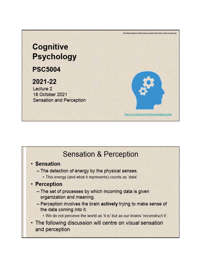 Understanding Visual Sensation & Perception | PDF | Perception | Senses