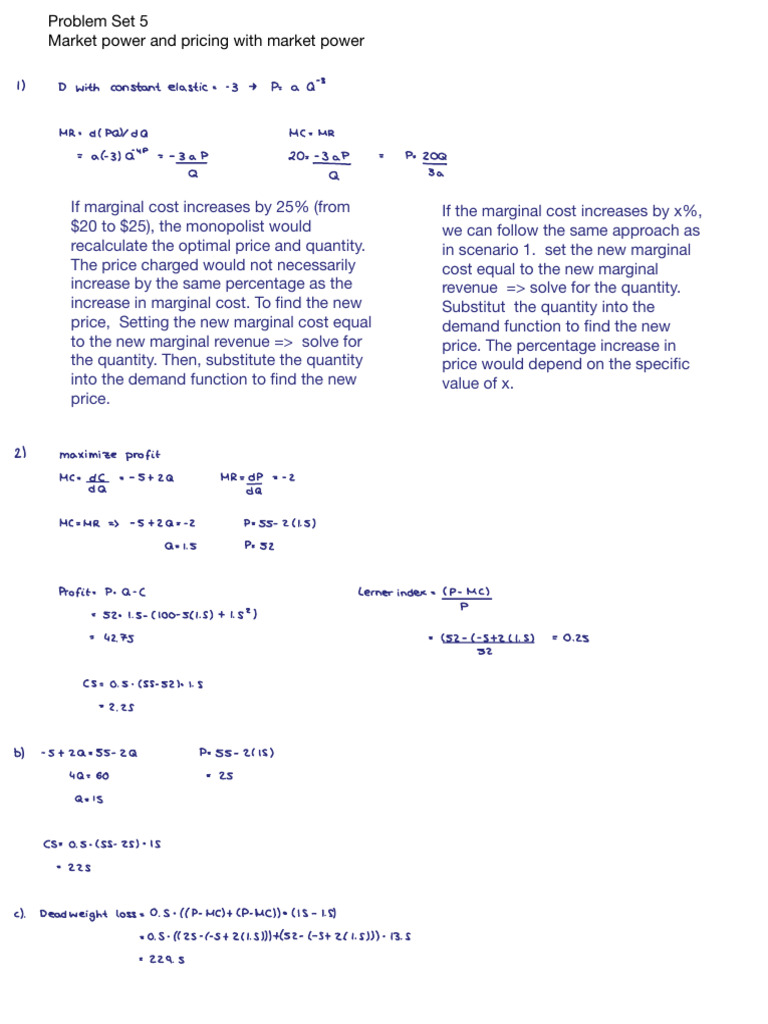 Problem Set 5 | PDF | Price Discrimination | Demand