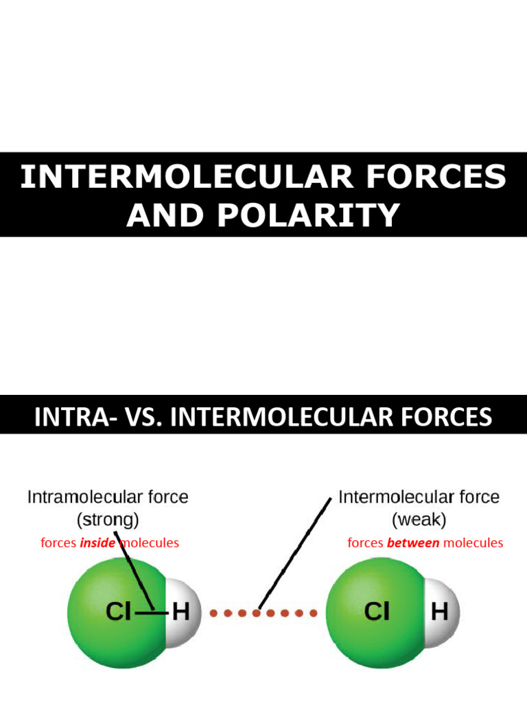 Intermolecular Forces and Solubility | PDF | Chemical Polarity ...