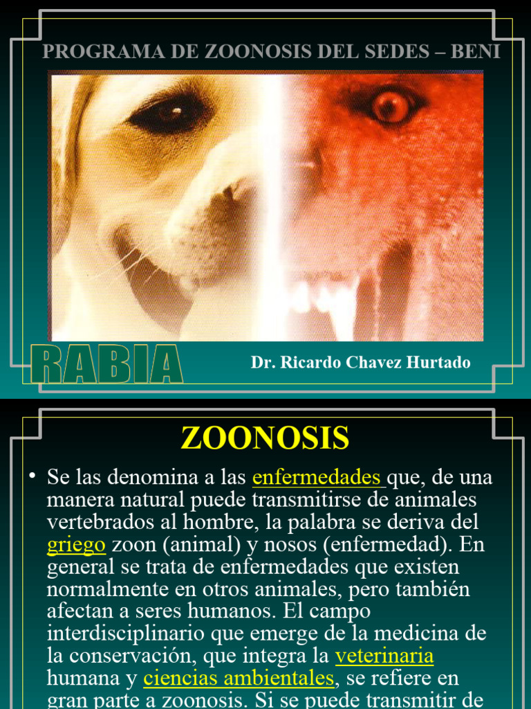 Prevención de Rabia en Beni | PDF | Rabia | Causas de la muerte