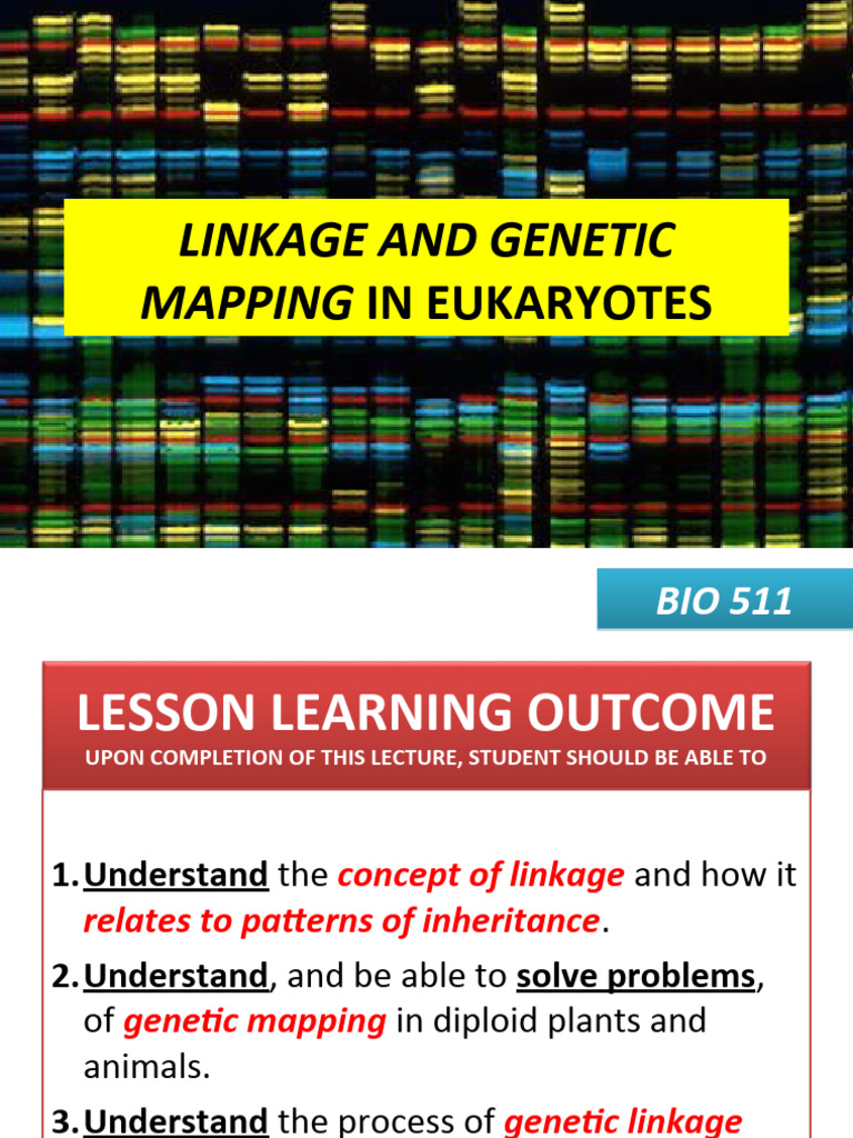 Linkage and Genetic Mapping Eukaryotes | PDF | Meiosis | Genetic Linkage