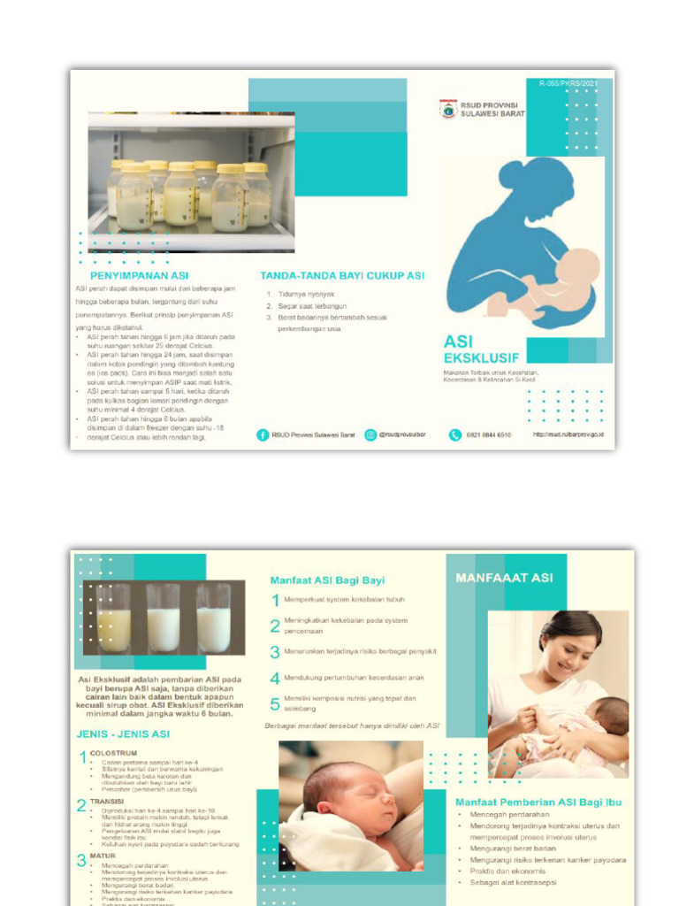 ASI Eksklusif Dan Teknik Menyusui | PDF