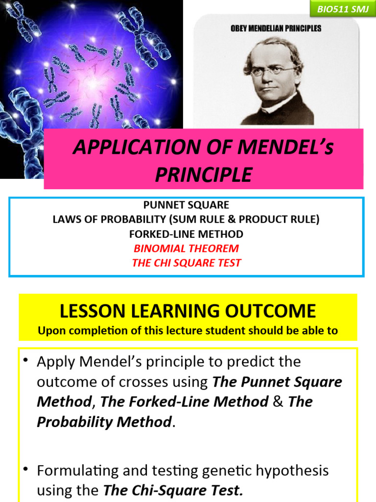 Lec12 Application of Mendel's Principle | PDF | Chi Squared Test | Chi ...