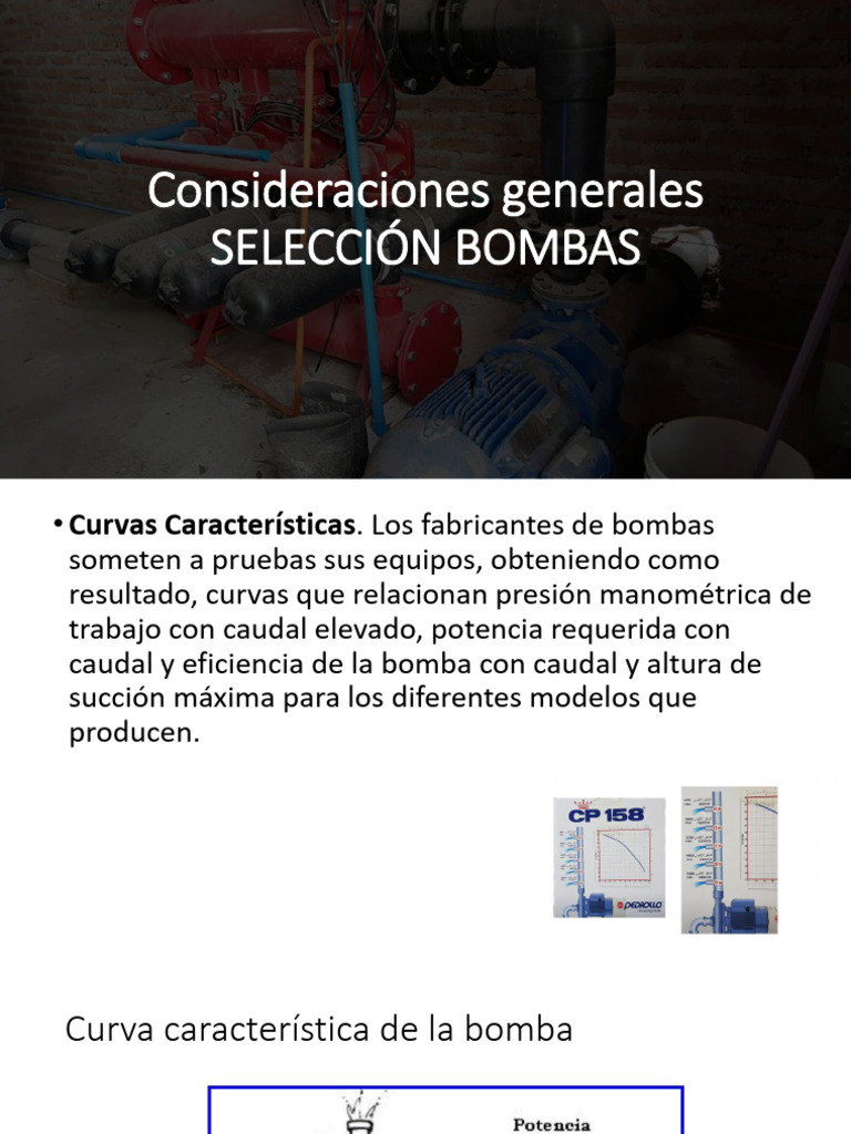 Selección de Bombas de Riego | PDF