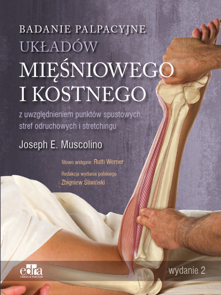 Muscolino 1 | PDF