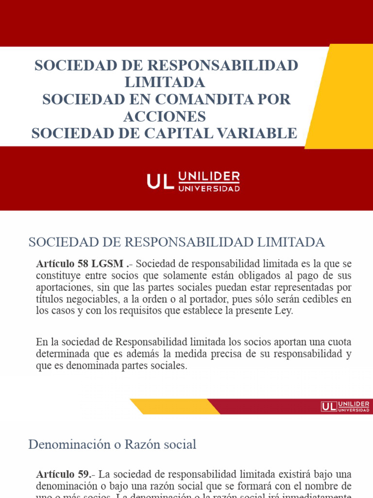 Sociedad de Responsabilidad Limitada, Sociedad de Comandita Por Acciones, Sociedad de Capital ...