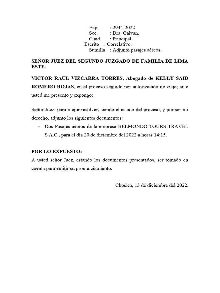 Adjunto Documentos Lesiones | PDF