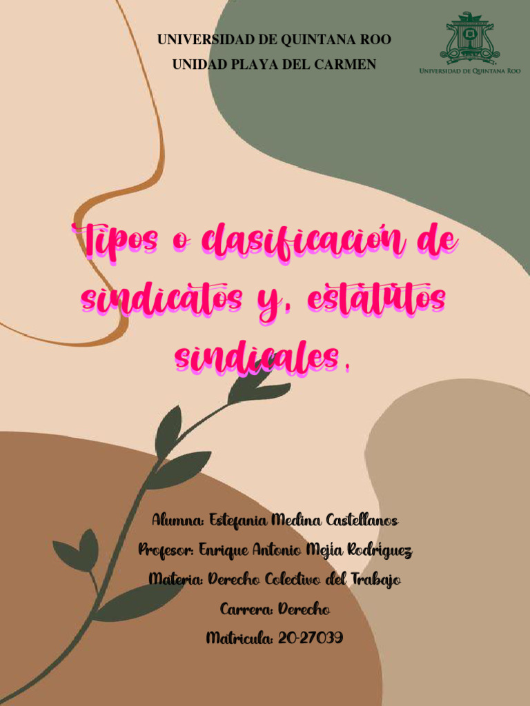 Tipos o clasificación de sindicatos y, estatutos sindicales | PDF | Sindicato | Derecho laboral