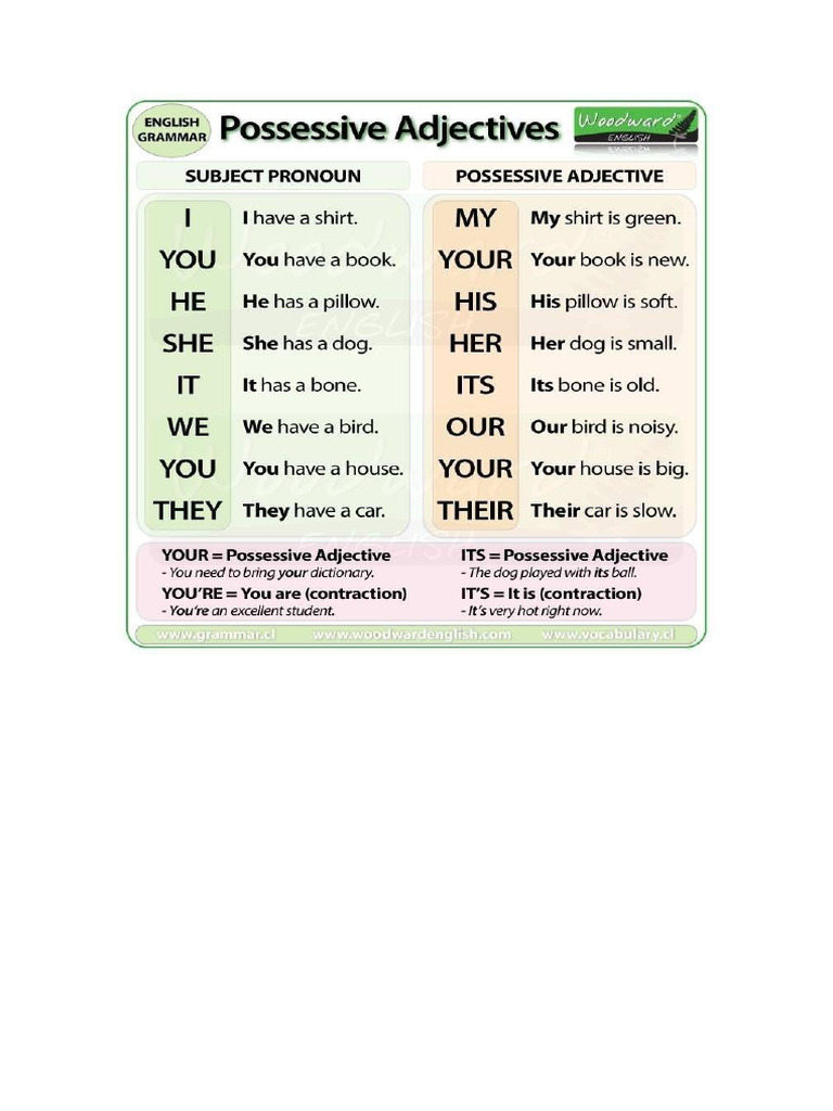Possessive Adjectives + 'S | PDF