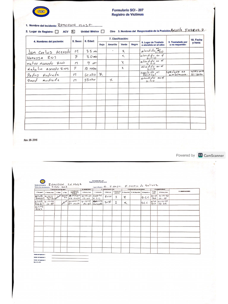 Formato 207 y 211 | PDF