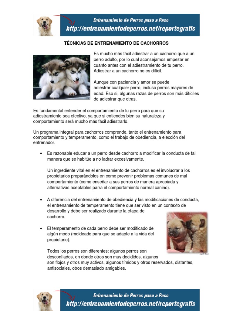 Adiestramiento Efectivo de Cachorros | PDF | Perros | Subespecie De Canis Lupus