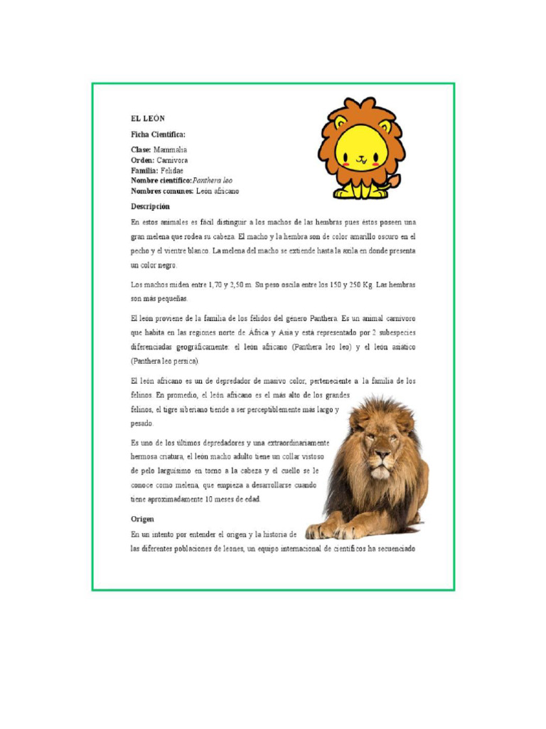 Ficha Leon | PDF