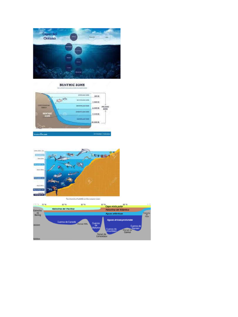 Capas de Oceano | PDF