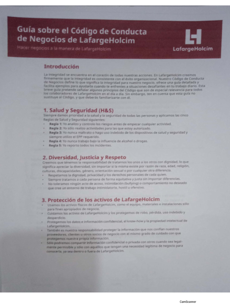 Guía Sobre El Código de Conducta | PDF