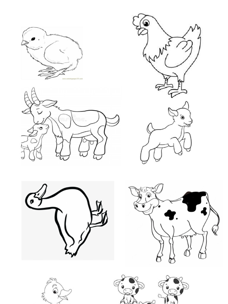 Animals and Offsprings | PDF