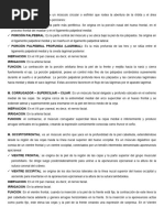 Función del músculo corrugador superciliar | PDF