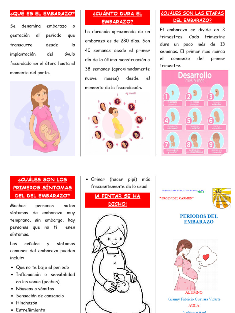 Proceso Del Embarazo | Descargar gratis PDF | El embarazo | Embarazo humano
