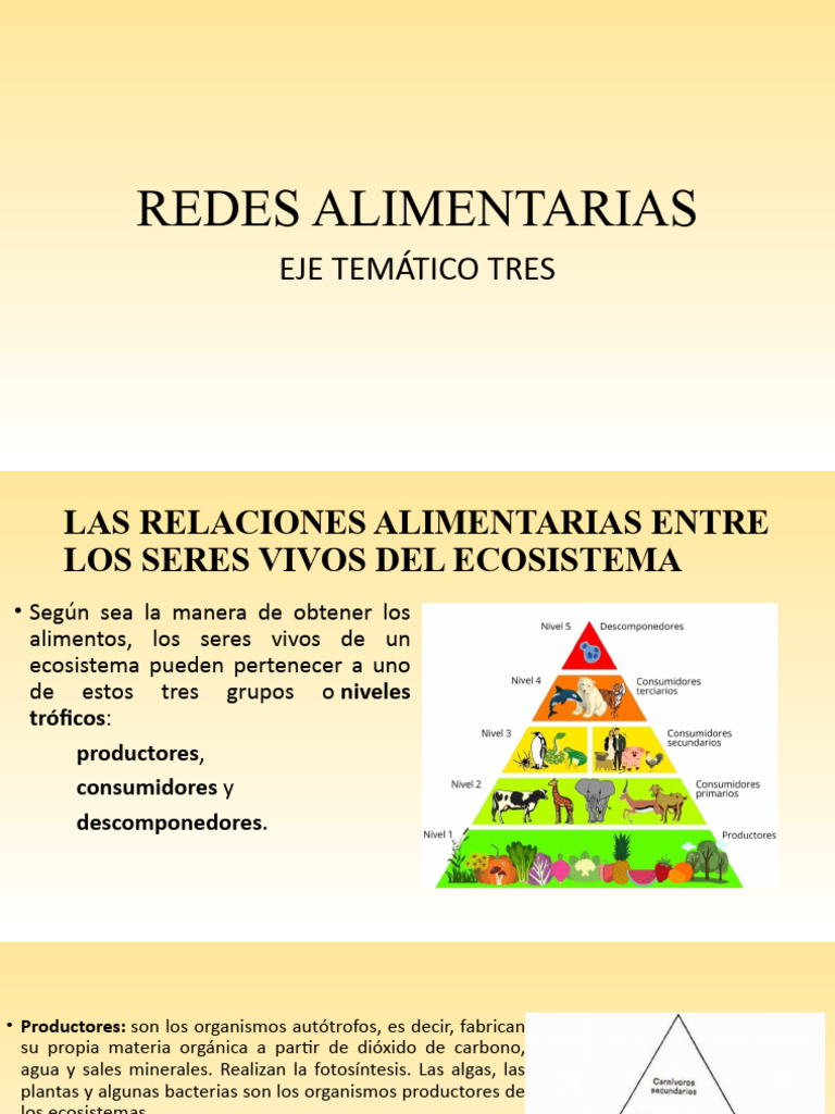 Eje Tres Redes Alimentarias 2023 | PDF | Red alimentaria | Ciencias de ...
