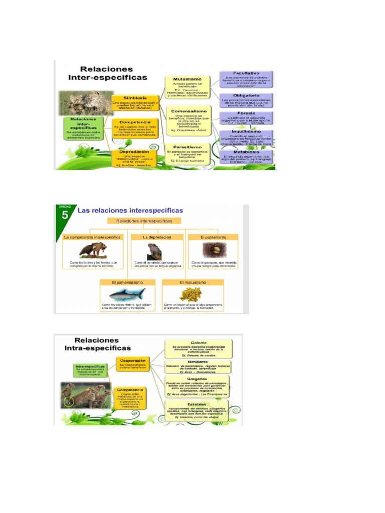 Relaciones Intra e Interespecificas. Grado 5 | PDF Relaciones Intra e Interespecificas. Grado 5 | PDF