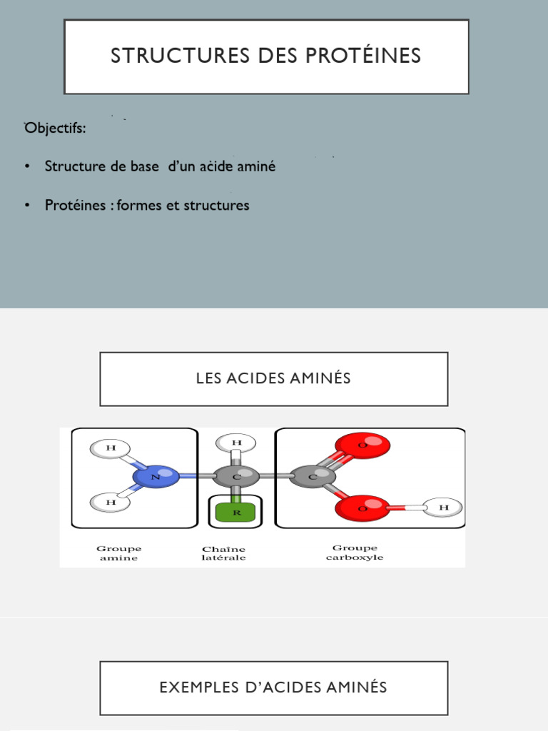Synthèse Des Protéines PDF | PDF | Acide ribonucléique messager | Protéines