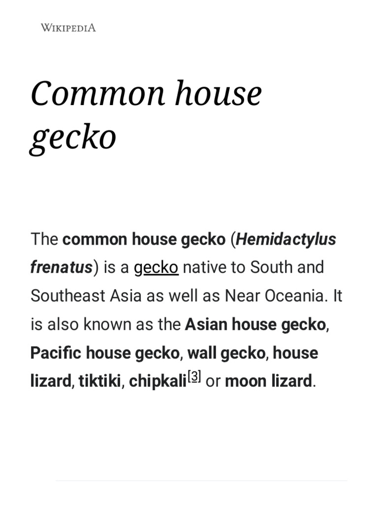 Common House Gecko - Wikipedia | PDF