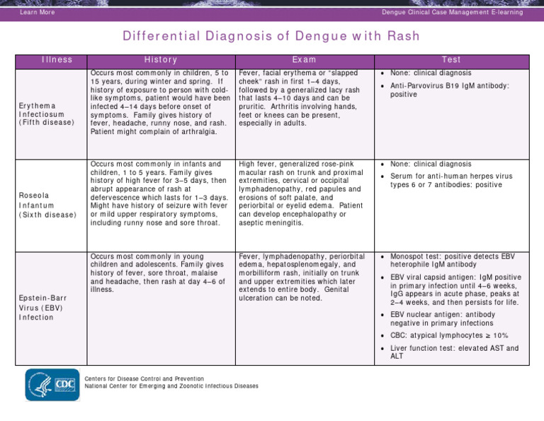 Fifth Disease F | PDF | Diseases And Disorders | Medicine