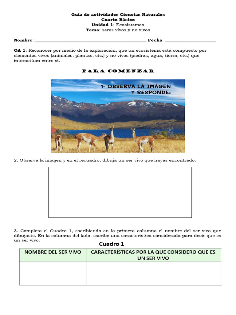 Guía de Actividades Ciencias Naturales Seres Vivos Seres No Vivos | PDF ...