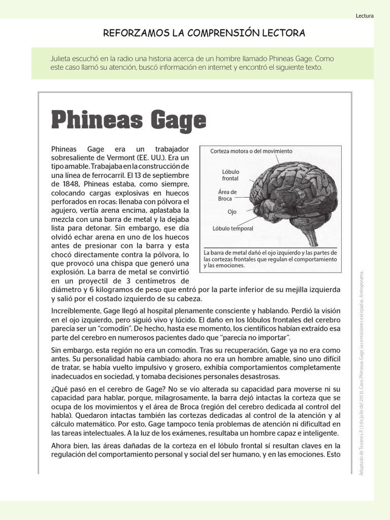 Prueba Diagnostica de Lectura 4. Grado de Secundaria Kit de Evaluacion de Diagnostico 4VB | PDF ...