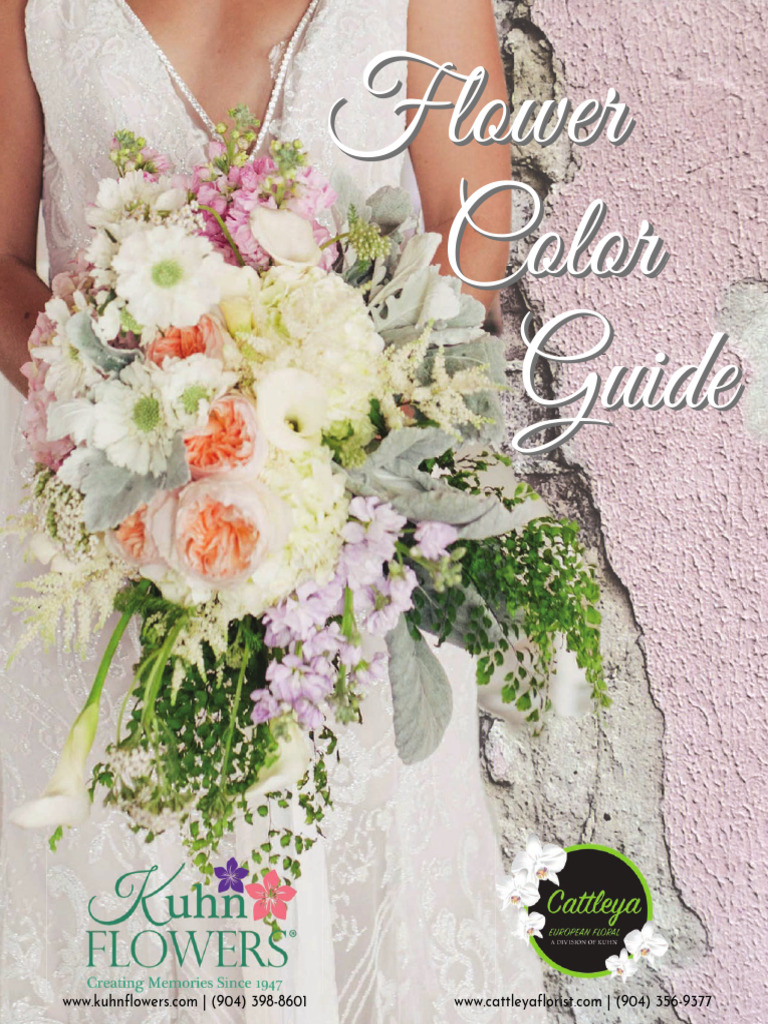 Flower Color Guide Cattleya Kuhn Web | PDF | Plants | Botany